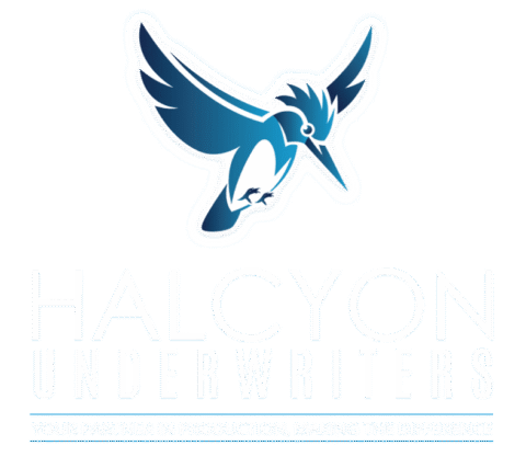 Home - Halcyon Underwriters